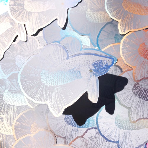 BETTA FISH Clear Sticker Pink and Blue Fighting Fish Art - Etsy