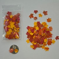 Tiny Fall/autumn Leaves - Etsy