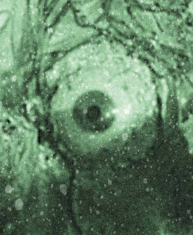 MST3K the Crawling Eye "wink You to Death?" Joel Quote Poster (12"x18 ...