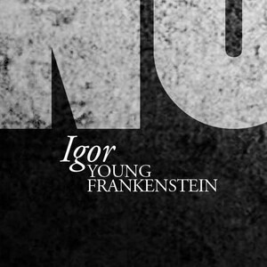 YOUNG FRANKENSTEIN - IGOR "abby... Normal" Quote Poster (18"x12") - Etsy