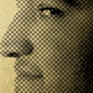 Animal House BLUTO Quote Posters COMBO PACK! Reduced Shipping* Included ...