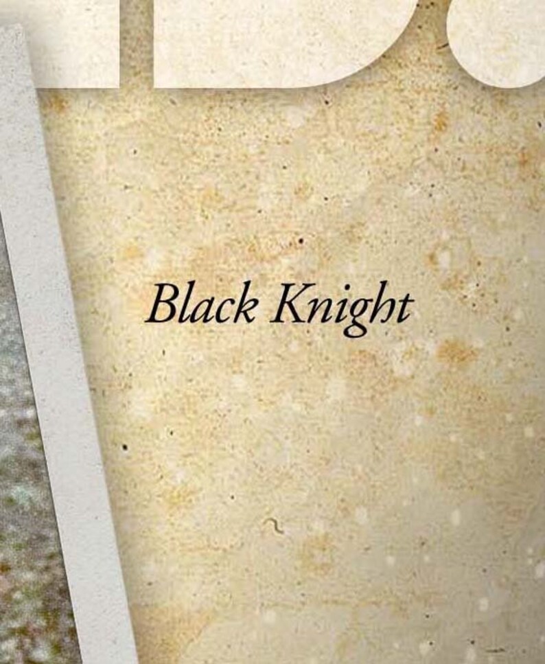 Monty Python and the Holy Grail flesh Wound Quote - Etsy