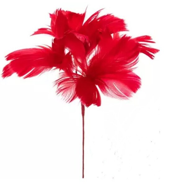 Feather Spray - Etsy