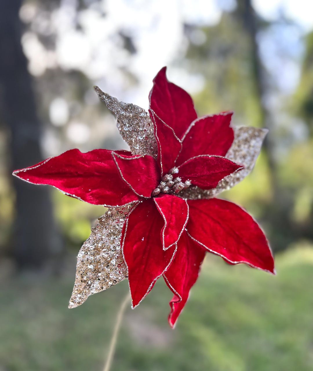 24" Regal Red and Gold Velvet With Glitter Poinsettia Stem Christmas ...
