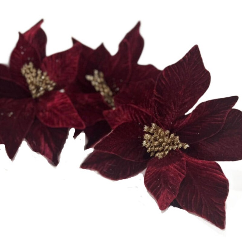 Burgundy Poinsettia - Etsy
