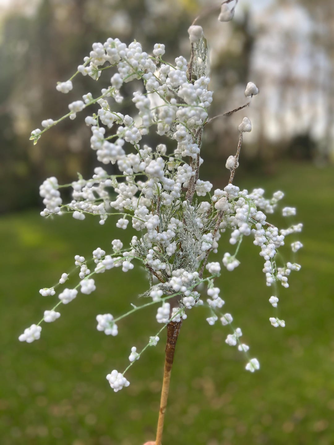 Frosted Weeping Mini Berry Ceder Spray Christmas or Spring Tree ...