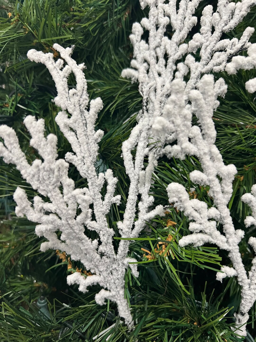 13" Frosted White Branches Picks Winter Christmas Decor - Etsy