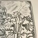 Max Ernst 'tree of Life' Print – High Museum Atlanta, Fine Art Paper ...