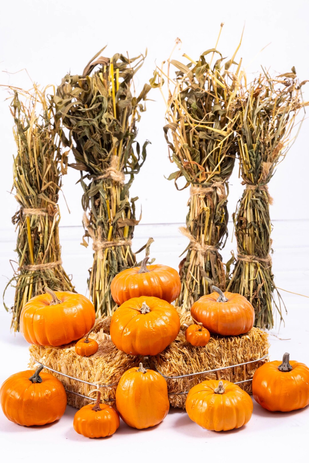 Dollhouse Miniature ~ IGMA Artist Hope Elliott Pumpkin Patch With ...