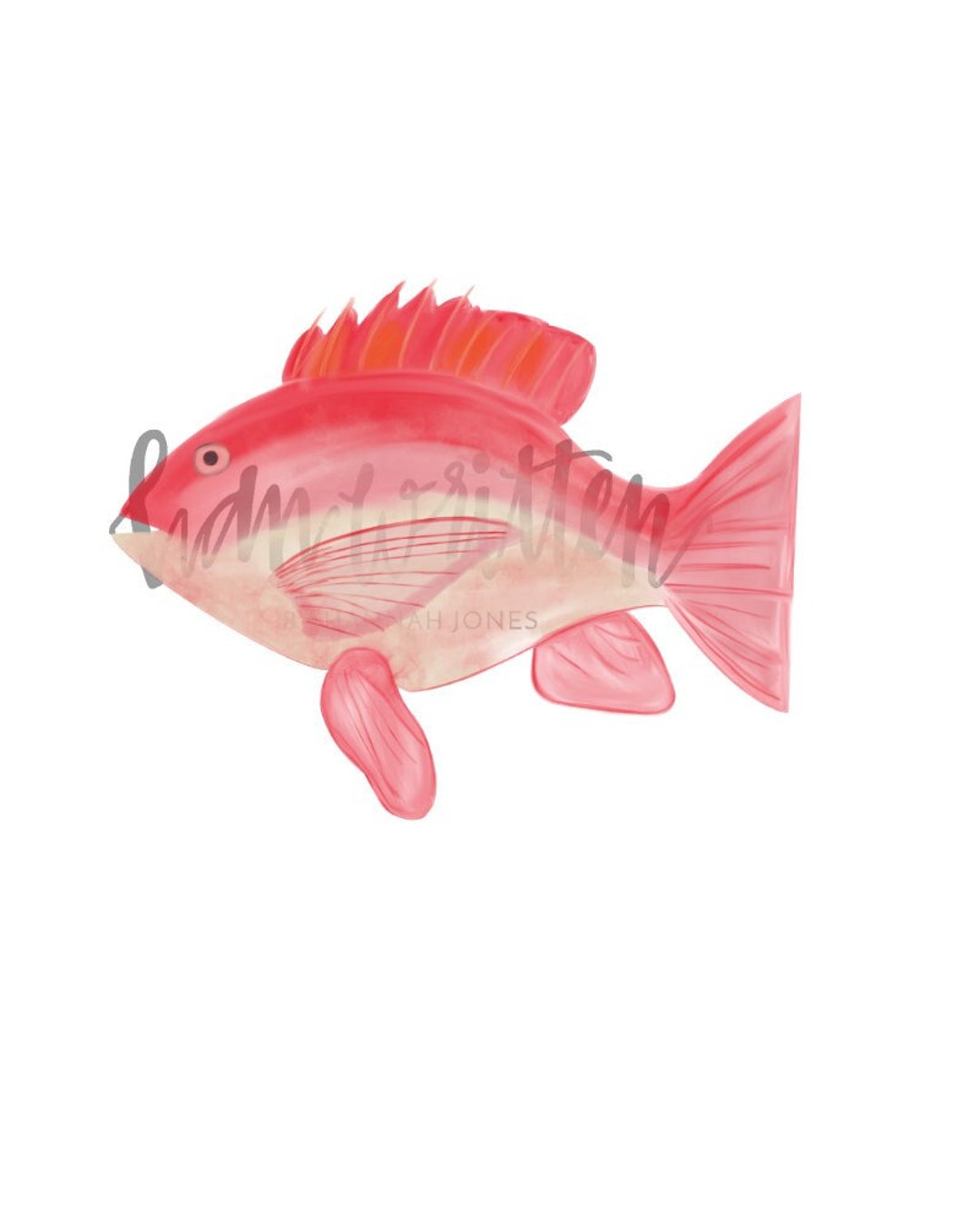 Red Snapper Design | Watercolor Digital File | Red Snapper | Marine ...