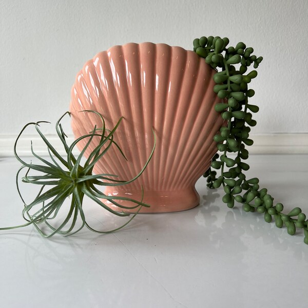 Shell Planter - Etsy