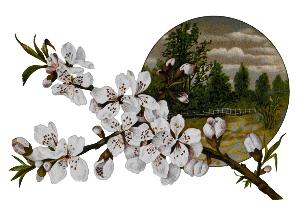 Rice Paper for Decoupage Scrapbook and Craft Twig Flowers Village ...