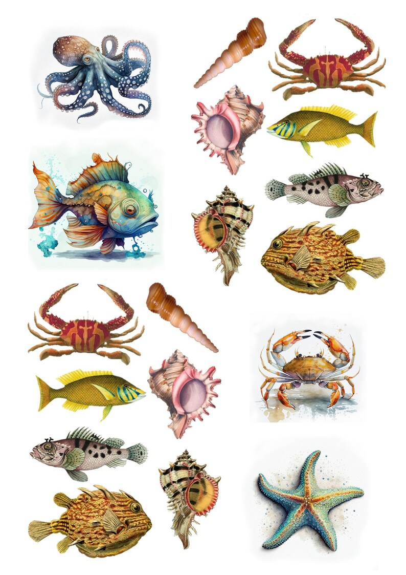 Rice Paper for Decoupage Scrapbook Craft Fish Shell 685 - Etsy