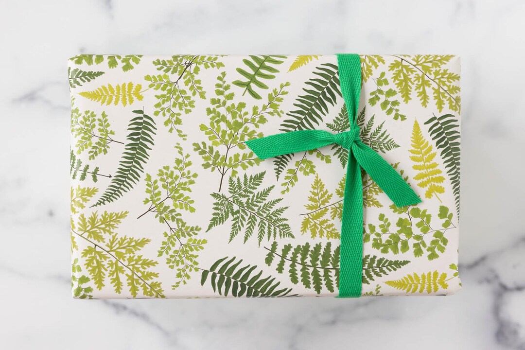 Fern Gift Wrap, Illustrated Botanical Wrapping Paper, 3 Sheets - Etsy
