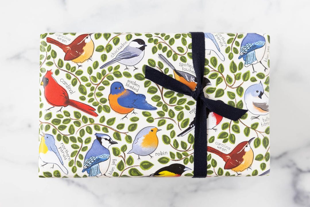 Birds Gift Wrap, Fine Wrapping Paper, All Occasion Bird Wrapping Paper ...