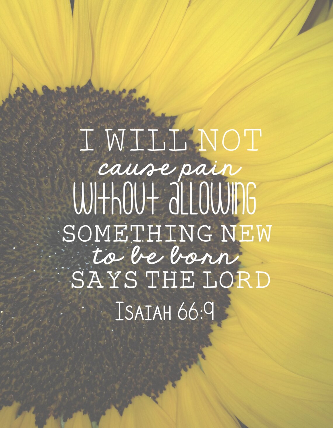 Isaiah 66 9 I Will Not Cause Pain Without Allowing Something New To Be isaiah-66-9-i-will-not-cause-pain-without-allowing-something-new-to-be