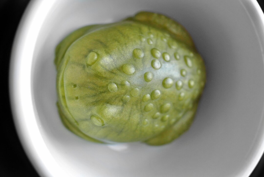 Round Frog Soap / Toad Soap - Etsy