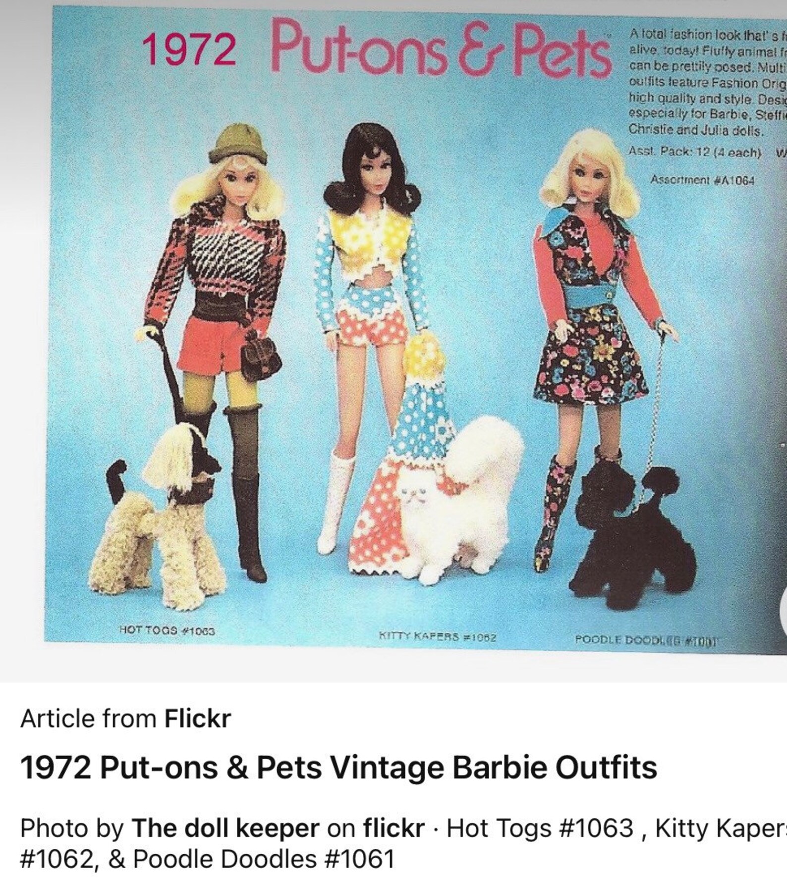 Cat Pet Toy Barbie Vintage Barbie Cat Toy Needle Felted - Etsy