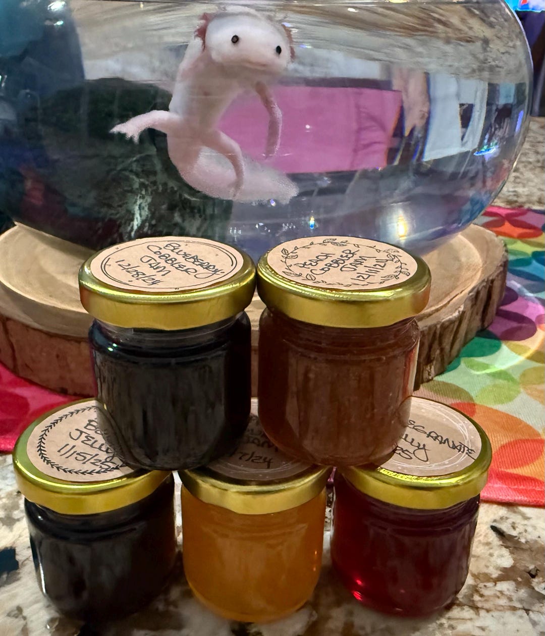 Homemade Jelly & Jam Sample Pack!! the Fruity Best Sellers Set - 5 - 1. ...
