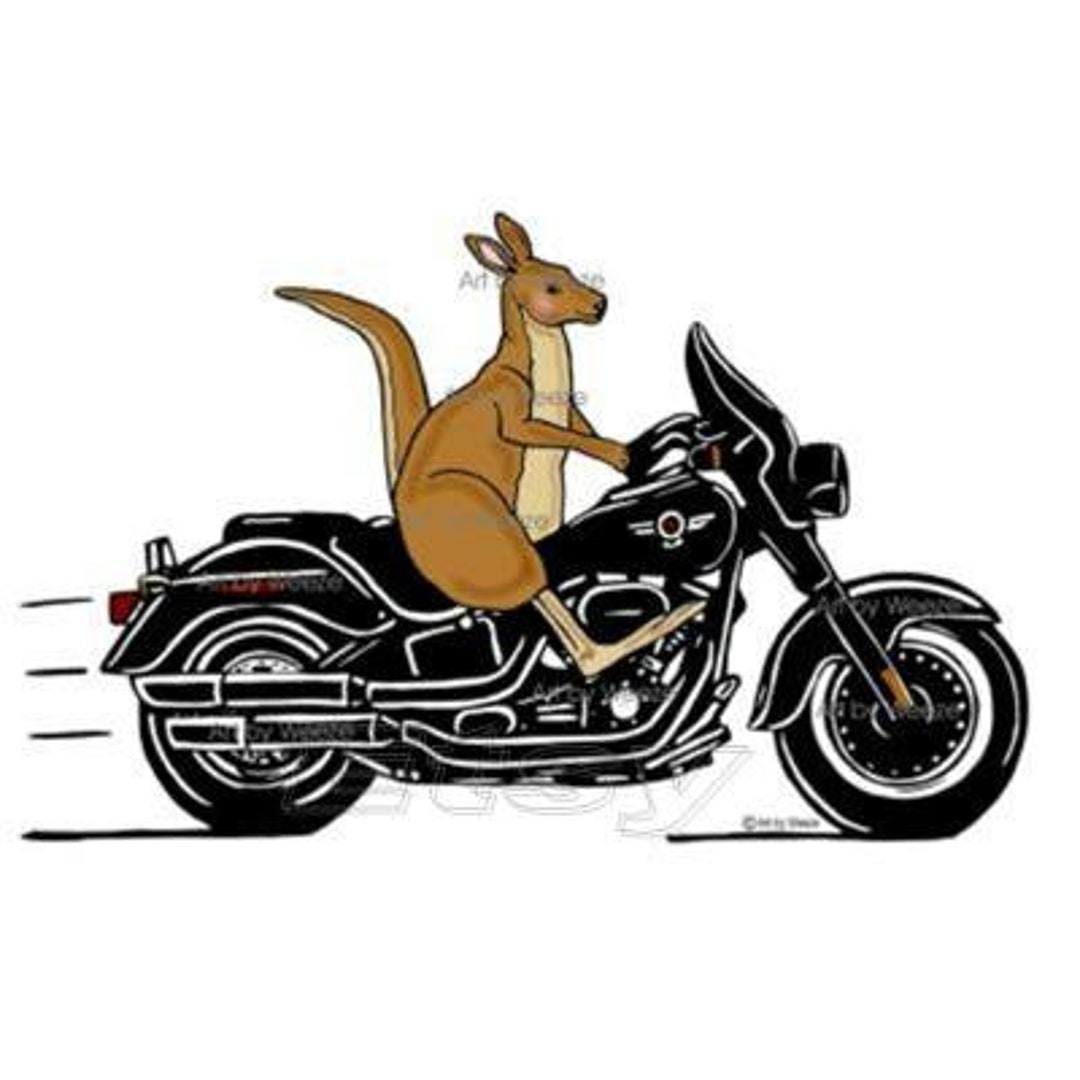 Kangaroo Riding A Motorcycle, Kangaroo Art, Kangaroo Cartoon Art ...