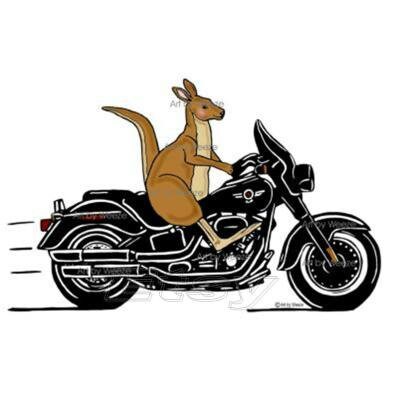 Kangaroo Riding A Motorcycle, Kangaroo Art, Kangaroo Cartoon Art ...