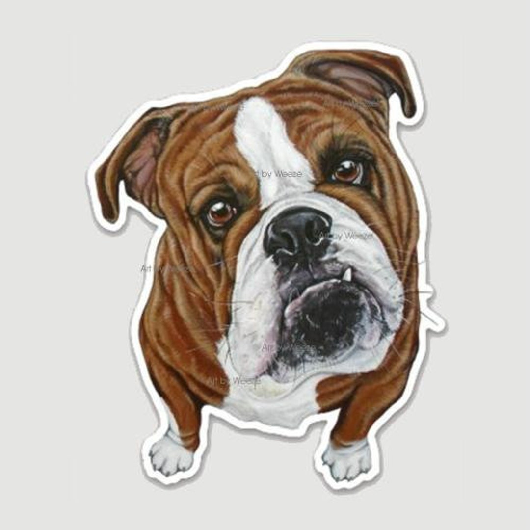 Bulldog Sticker, Bulldog Decal, English Bulldog Sticker, Bulldog Art ...
