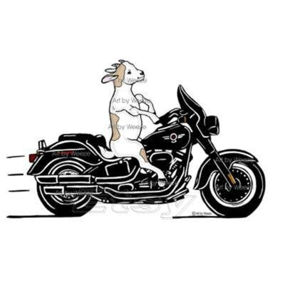 Goat Riding A Motorcycle, White Tan Goat, Billy Goat Art, Cartoon Goat ...