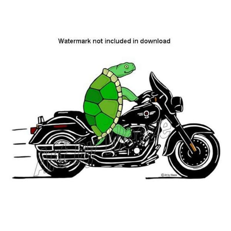 Printable Turtle, Turtle on Motorcycle, Turtle, Instant Download ...