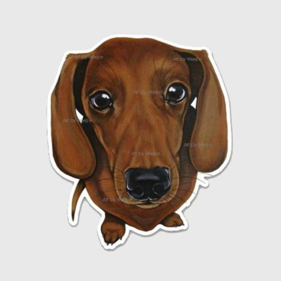 Dachshund Sticker, Brown Dachshund, Dachshund Decal, Doxie Sticker ...