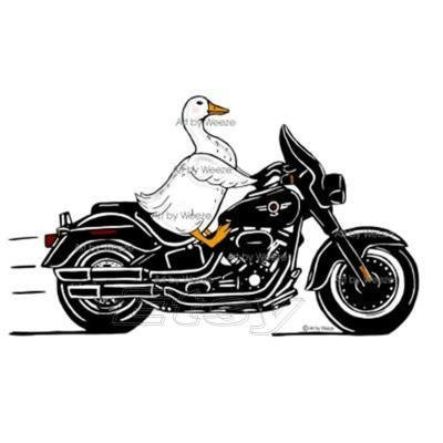 Duck Riding A Motorcycle, White Duck Art, Duck Cartoon Art, Motorcycle ...