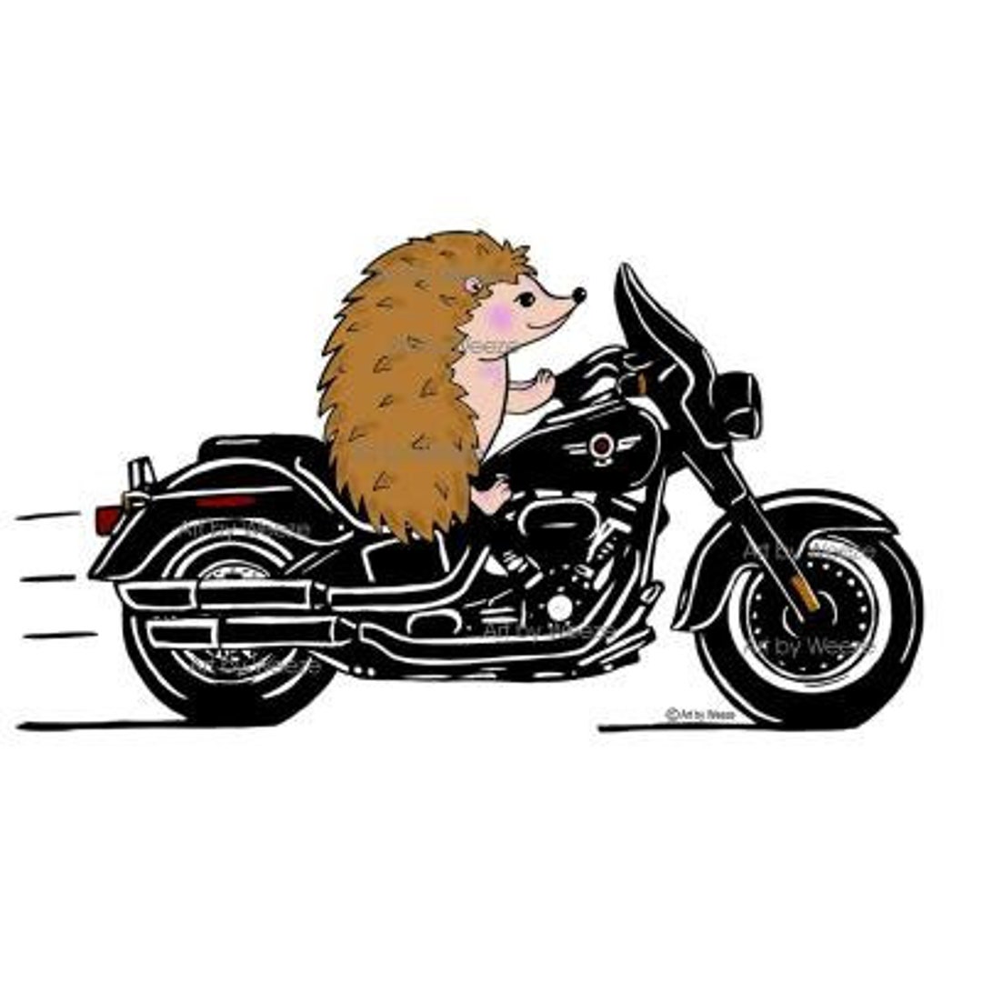 Printable Hedgehog, Hedgehog on Motorcycle, Hedge Pig, Fuzz Pig, Biker ...