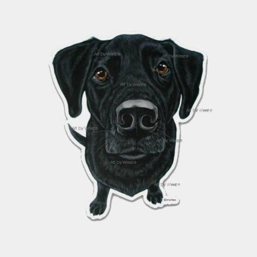 Black Lab Sticker, Black Dog Decal, Vinyl Decal, Black Dog Sticker ...