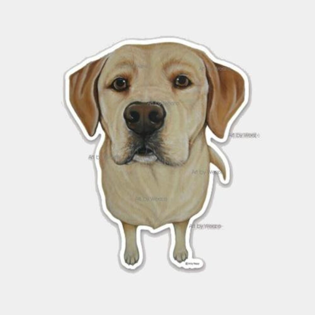Yellow Lab Sticker, Yellow Lab Decal, Vinyl Decal, Yellow Dog Sticker ...