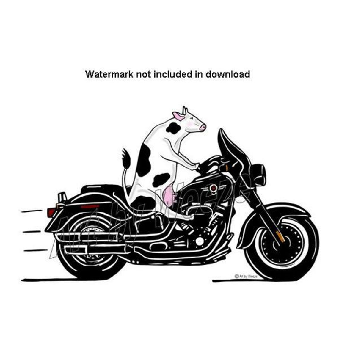 Printable Cow, Cow Riding A Motorcycle, Cow, Instant Download, Cow Art ...