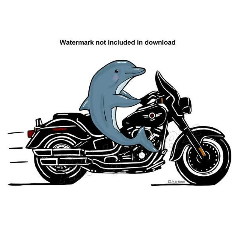 Printable Dolphin, Dolphin on Motorcycle, Dolphin, Instant Download ...