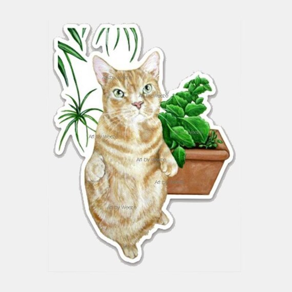 Orange Tabby Cat Orange Cat Sticker Yellow Cat Decal Ginger - Etsy