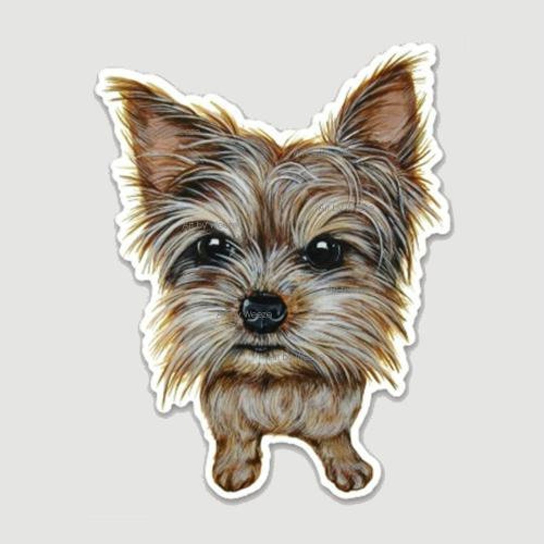 Yorkie Sticker, Yorkie Window Decal, Yorkshire Terrier, Cute Dog ...
