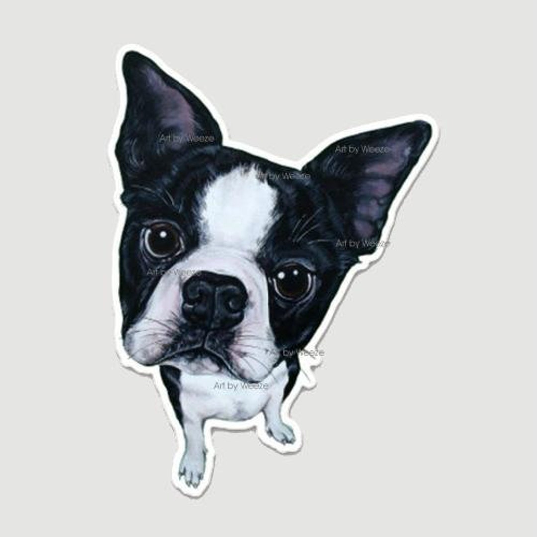 Boston Terrier Sticker, Boston Terrier Decal, Vinyl Decal, Boston ...