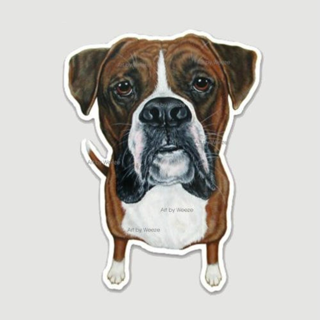 Boxer Sticker, Boxer Decal, Vinyl Decal, Brown Boxer, Water Bottle ...