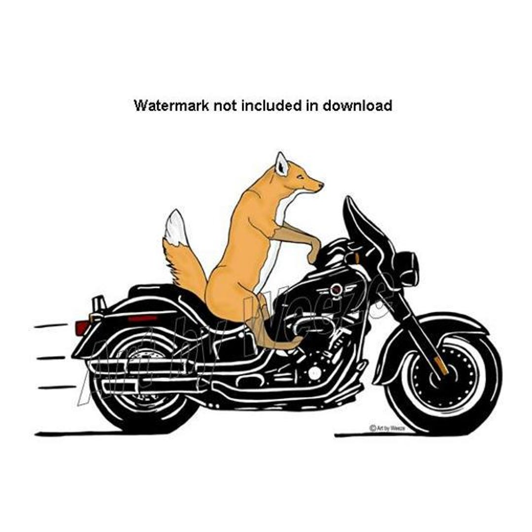 Fox, Fox on Motorcycle, Instant Download, Fox, JPEG, Funny Fox, Biker ...