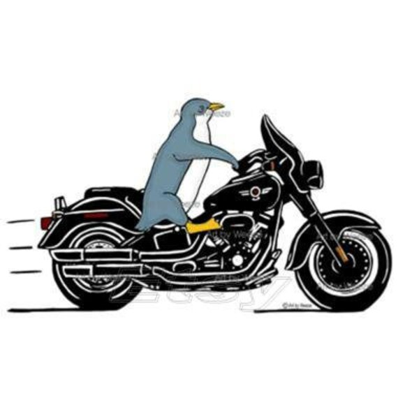 Birds Wall Decor - Etsy