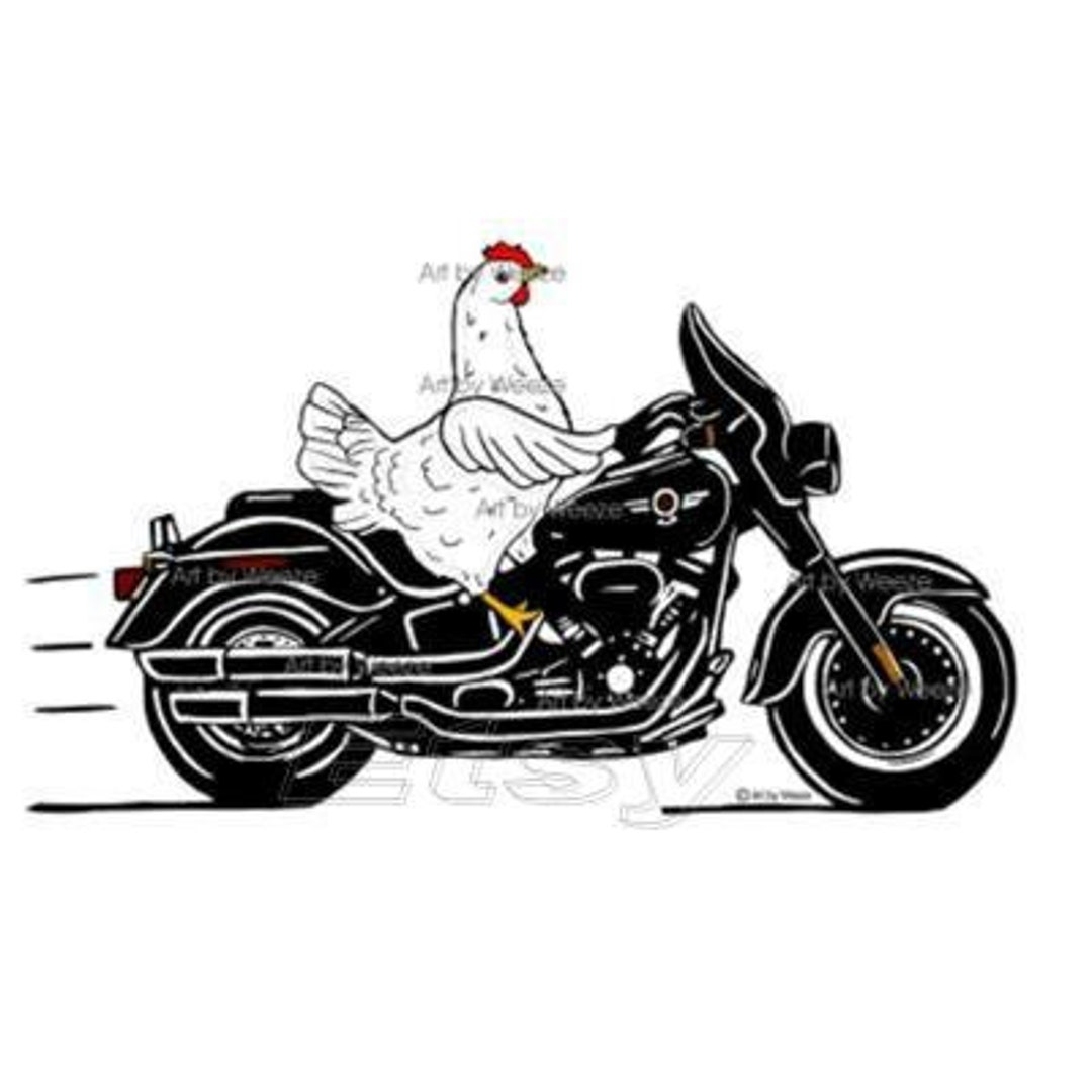 Chicken Riding A Motorcycle, White Chicken, Chicken Art, Motorcycle Art ...