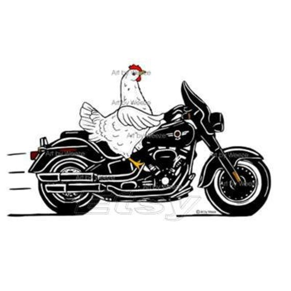Chicken Riding A Motorcycle White chicken Chicken Art | Etsy