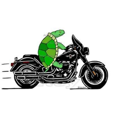 Turtle Riding A Motorcycle, Tortoise Art, Turtle Cartoon, Motorcycle ...