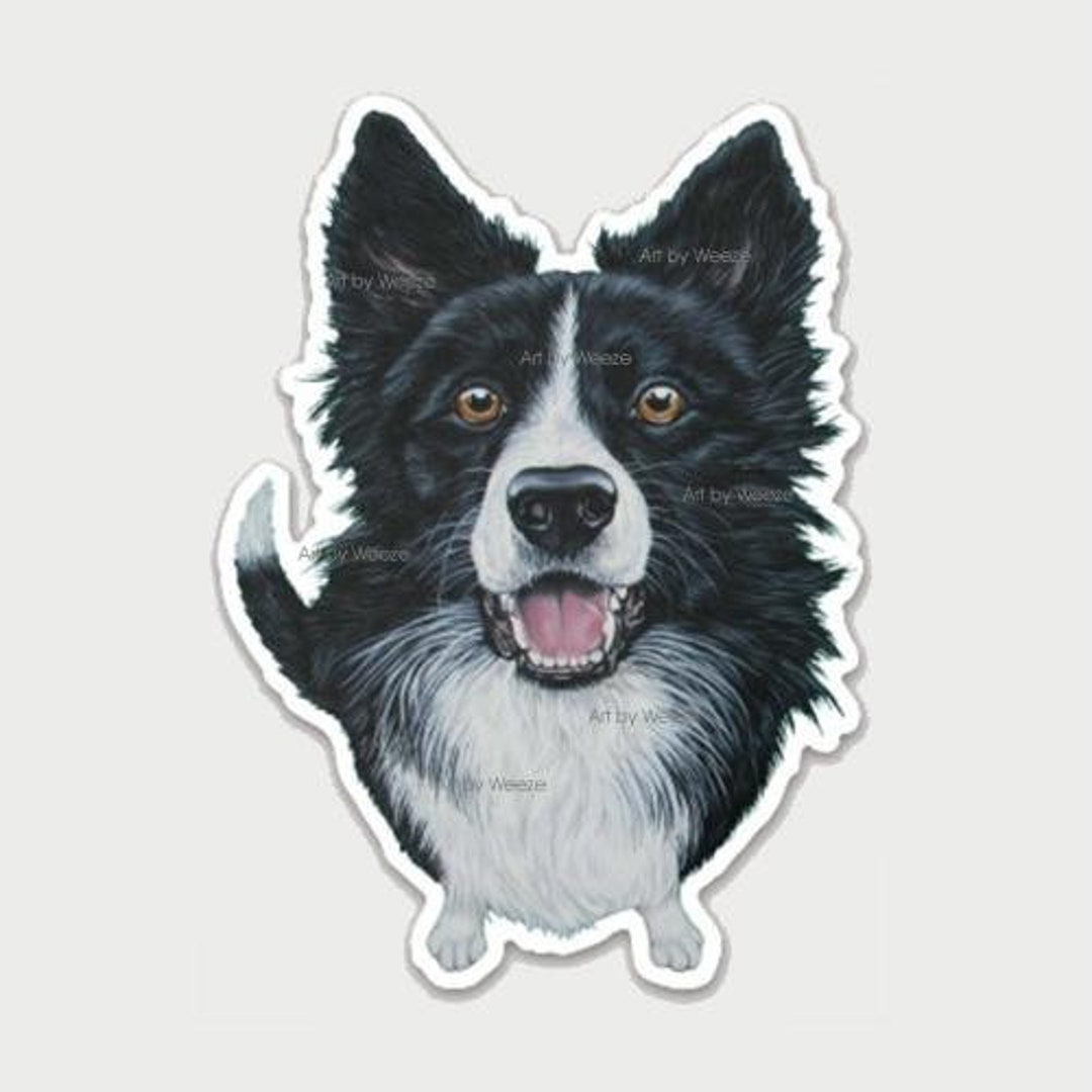 Border Collie Sticker, Border Collie Decal, Vinyl Decal, Dog Breed ...