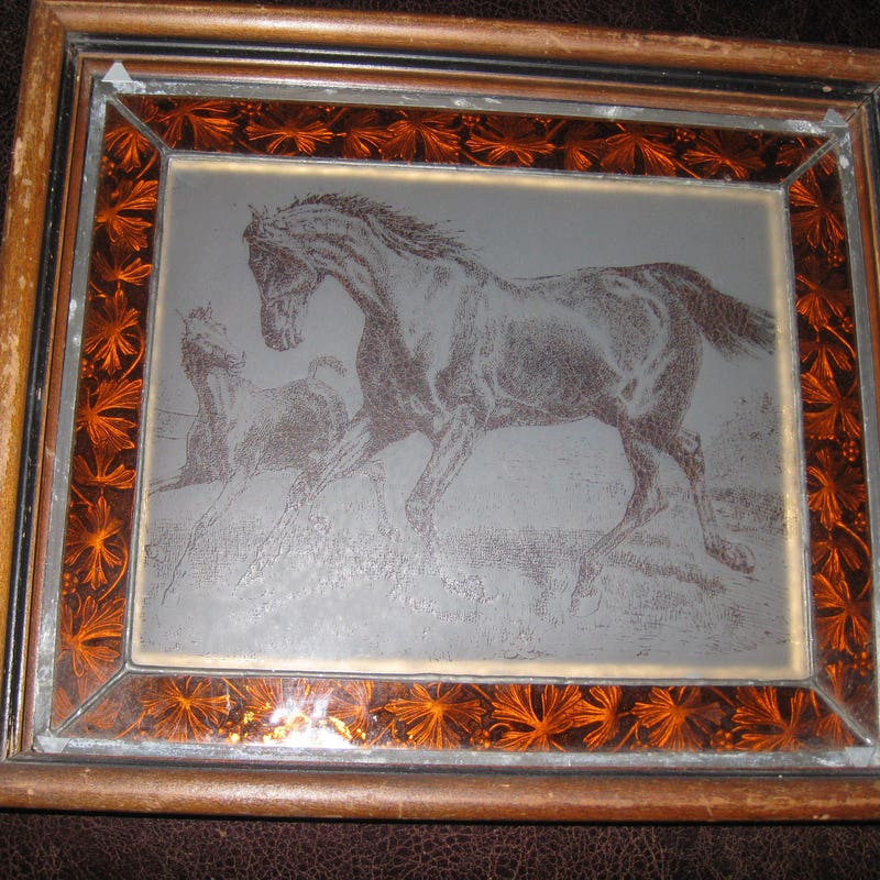 Amber X Horse - Etsy