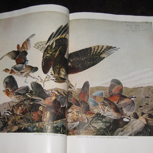 1957 THREE HUNDRED YEARS of American Painting by Alexander Eliot Art ...