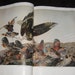 1957 THREE HUNDRED YEARS of American Painting by Alexander Eliot Art ...