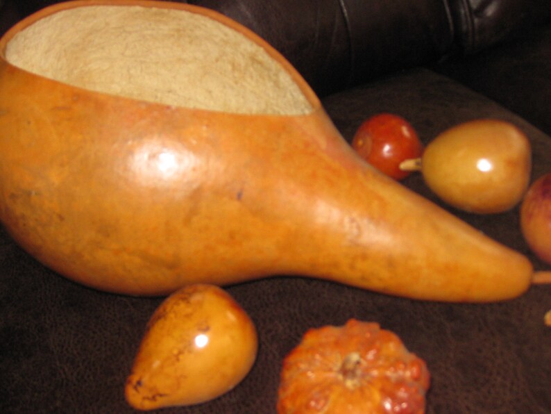 LARGE GOURD ART Display Gourd With Small Gourds Inside Large - Etsy