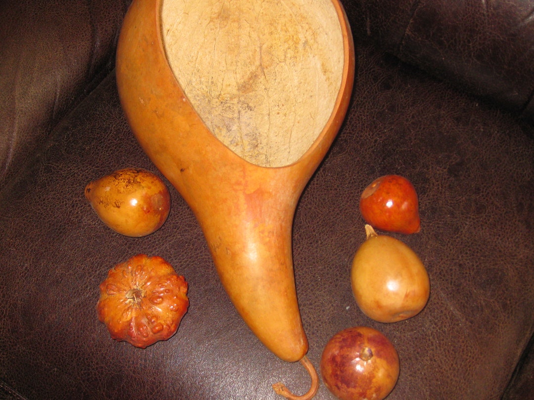 LARGE GOURD ART Display Gourd With Small Gourds Inside Large Gourd 17 ...